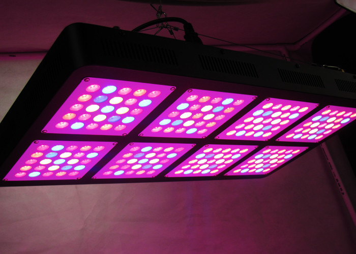 Full Spectrum 600 Watt Led Grow Light With Adjustable Output Spectrum ...